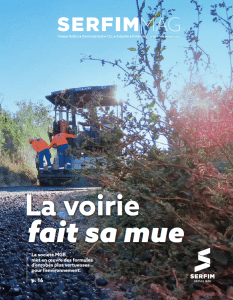 Publications Archive - Serfim